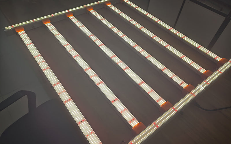 EDGE XX Pro Serie 760 Watt LED Full Bar – GROWBOX.CH